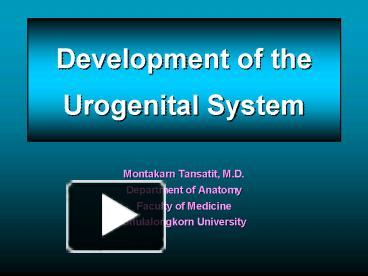 PPT – Development of the Urogenital System PowerPoint presentation ...