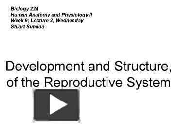 PPT – Reproductive System PowerPoint presentation | free to download ...