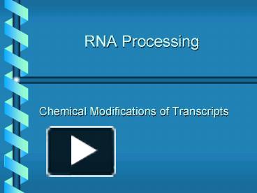 RNA Processing presentation | free to view