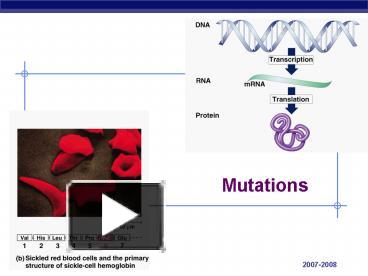 PPT – AP PowerPoint presentation | free to view - id: fb16f-ZDc1Z