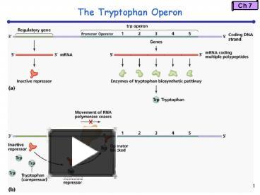 The Tryptophan Operon presentation | free to view