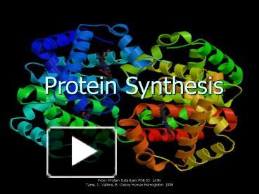 PPT – Protein Synthesis PowerPoint presentation | free to view - id ...