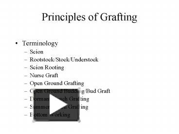Principles of Grafting presentation | free to view