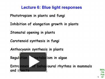 Lecture 6: Blue light responses presentation | free to view