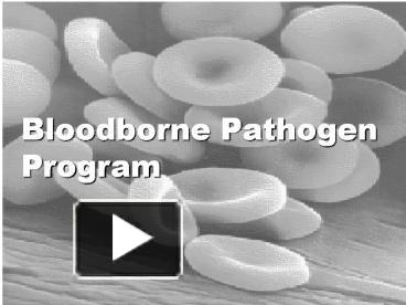PPT – Bloodborne Pathogen Program PowerPoint presentation | free to ...