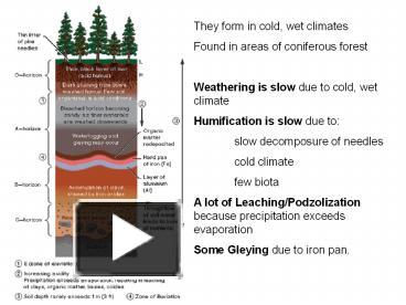They form in cold, wet climates presentation | free to download