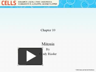 PPT – Mitosis PowerPoint presentation | free to download - id: fc190-ZDc1Z