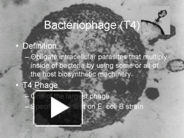 Bacteriophage T4 presentation | free to view