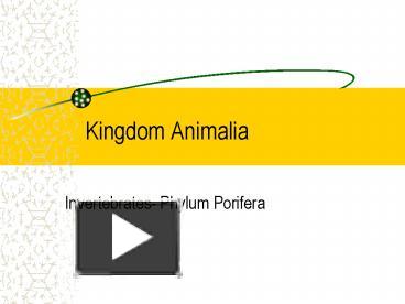 PPT – Kingdom Animalia PowerPoint presentation | free to view - id ...