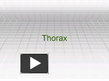 PPT – Thorax PowerPoint presentation | free to view - id: fccea-ZDc1Z