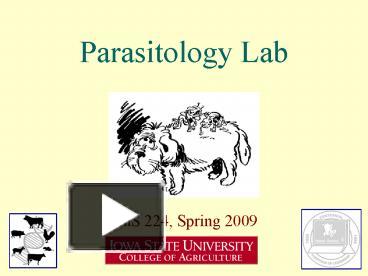 PPT – Parasitology Lab PowerPoint presentation | free to view - id ...