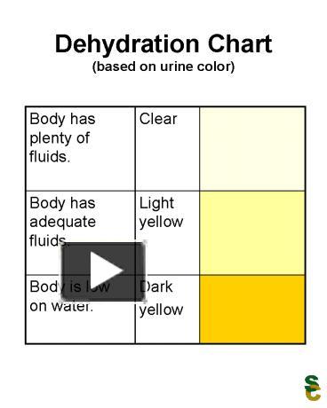 Dehydration Chart based on urine color presentation | free to view