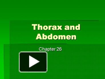 PPT – Thorax and Abdomen PowerPoint presentation | free to view - id ...