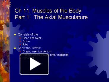 Ch 11, Muscles of the Body Part 1: The Axial Musculature presentation ...