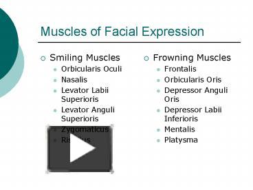 Muscles of Facial Expression presentation | free to view