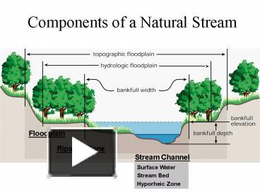 PPT – Components of a Natural Stream PowerPoint presentation | free to ...