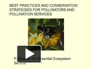 Pollination: An Essential Ecosystem Service presentation | free to view