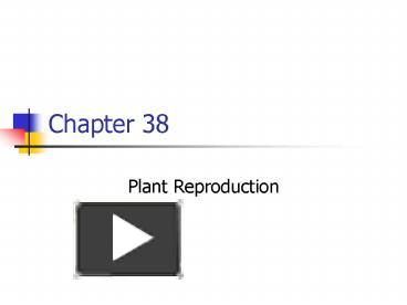 PPT – Plant Reproduction PowerPoint presentation | free to view - id ...