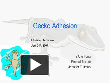 Gecko Adhesion presentation | free to view