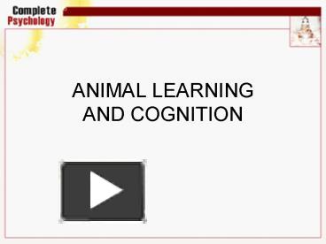 PPT – ANIMAL LEARNING AND COGNITION PowerPoint presentation | free to ...